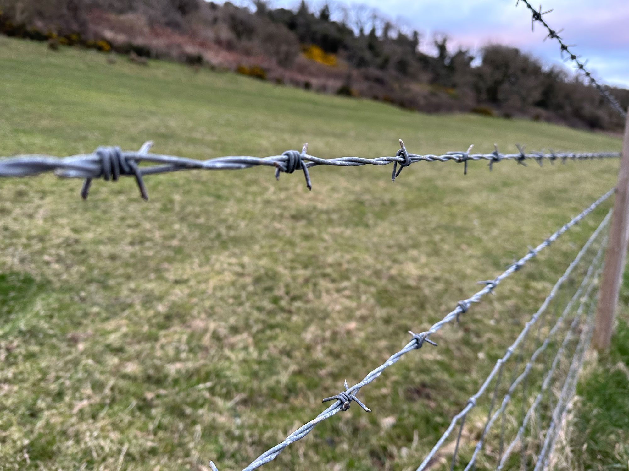 Barbed Wire - Samson Wire & Fencing